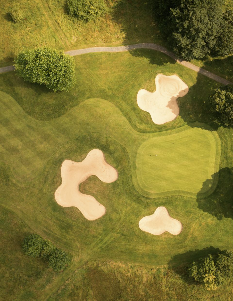Wynyard Golf Club | Green Fees